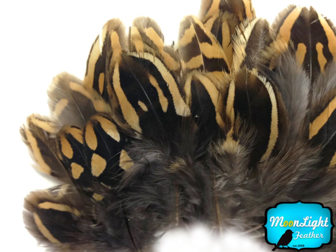 Chukar Feathers, 10 Pieces - NATURAL BROWN Partridge Small Plumage ...