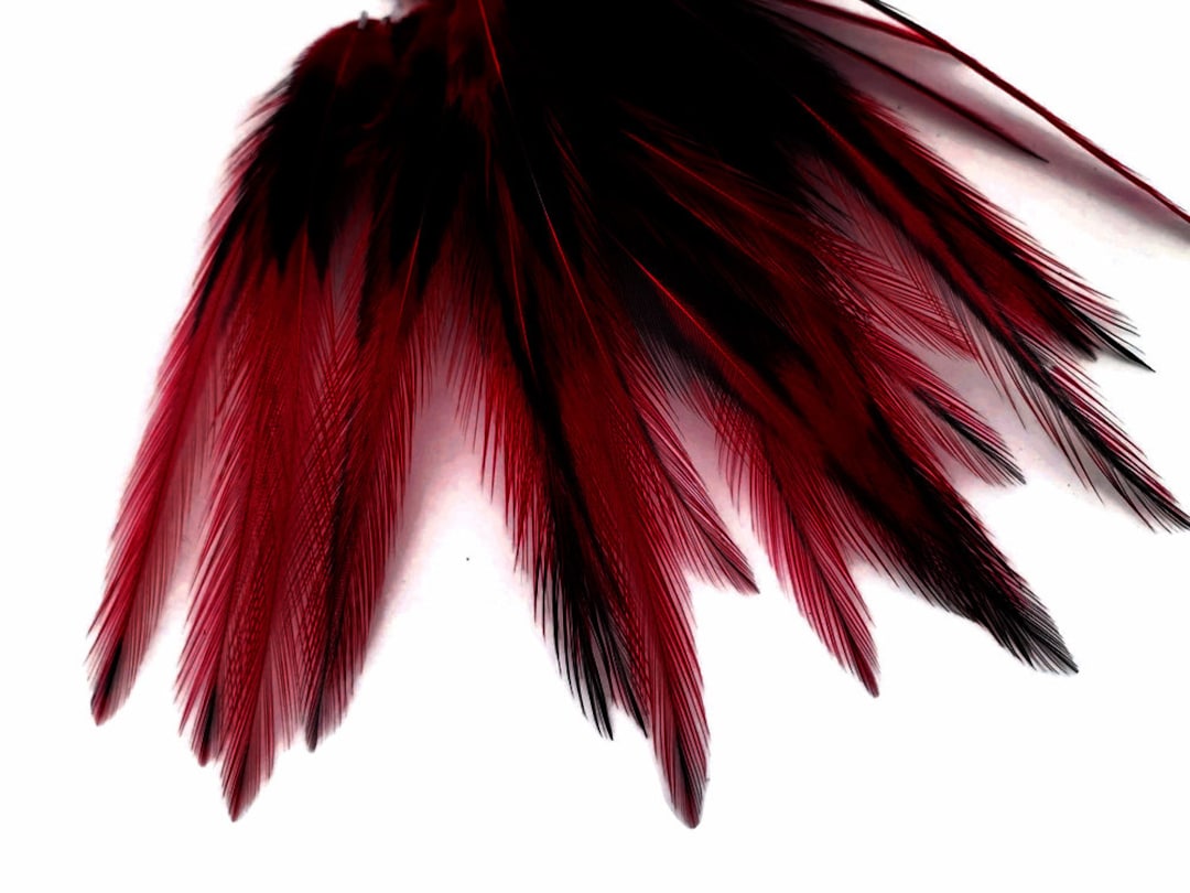 Red Laced Pointy Feathers, 10 Pieces - Claret Dyed BLW Laced Short ...