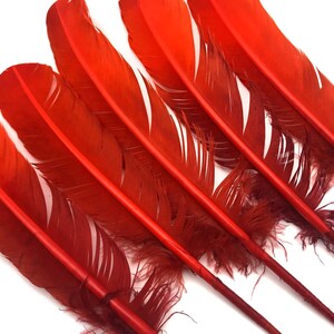 Eagle Feathers, 6 Pieces - FIERY RED Ombre Turkey Rounds Secondary Wing ...