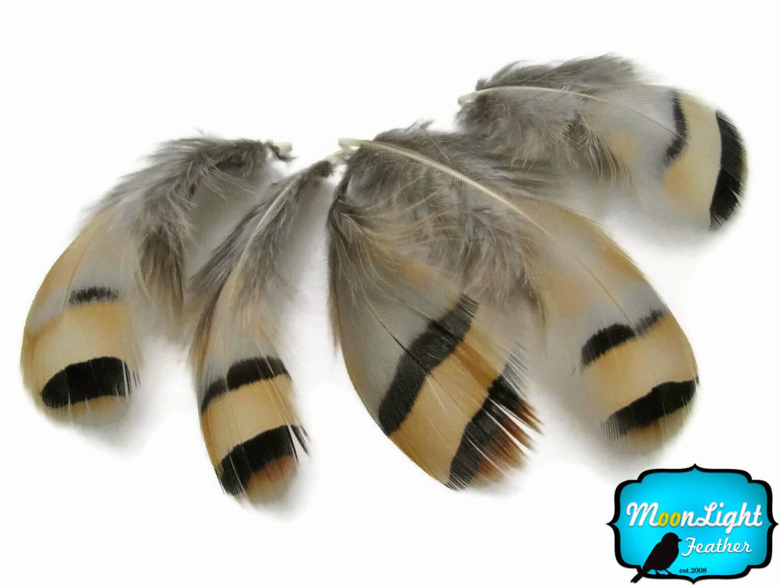 Chukar Feathers, 1 Pack - NATURAL CHUKAR PARTRIDGE Hen Feather 0.10 Oz ...