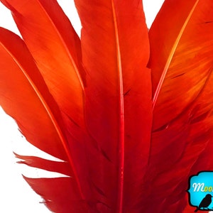 Eagle Feathers, 6 Pieces - FIERY RED Ombre Turkey Rounds Secondary Wing ...