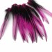 Fuchsia Laced Pointy Feathers, 10 Pieces - Hot Pink Dyed BLW Laced ...