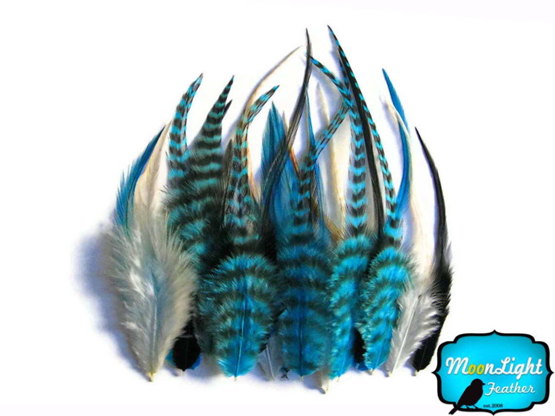Rooster Feathers, 2 Dozen - Short BLUE MIX Grizzly Rooster Hair ...