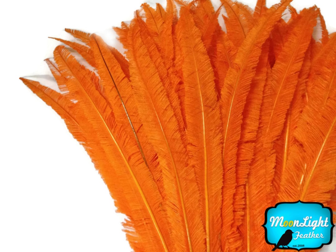 Ostrich Feathers, 5 Pieces - ORANGE Long Ostrich Nandu Trimmed Feathers ...