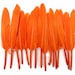 Duck Feathers, 1 Pack - Orange Duck Cochettes Loose Feathers 0.30 Oz ...