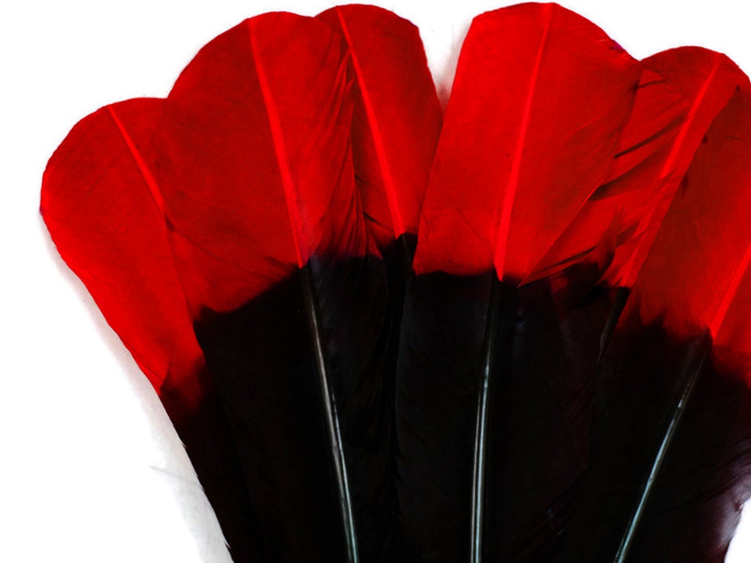 Fletching Feathers, 6 Pieces - RED & BLACK Two Tone Turkey Round Tom ...