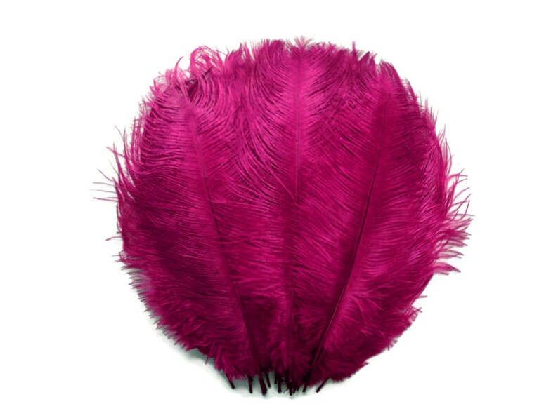 USA Feathers, 10 Pieces - 14-17" Magenta Ostrich Dyed Drab Large Body ...