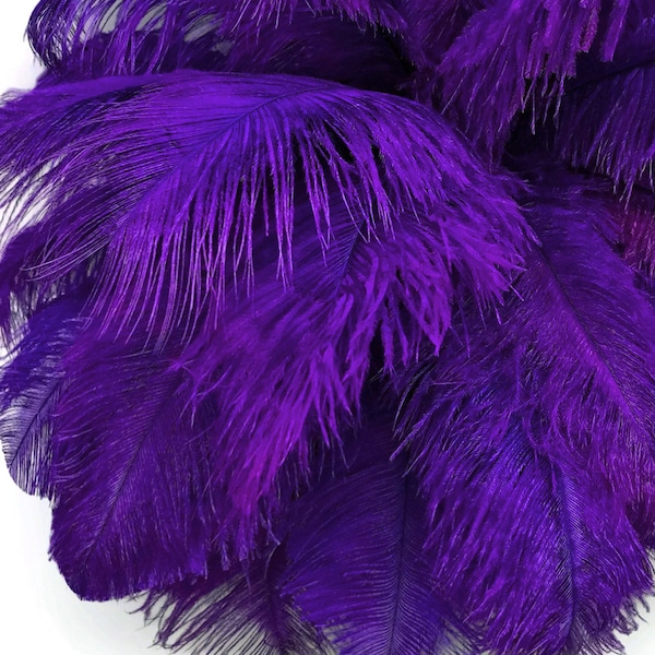 Large Feathers - Etsy