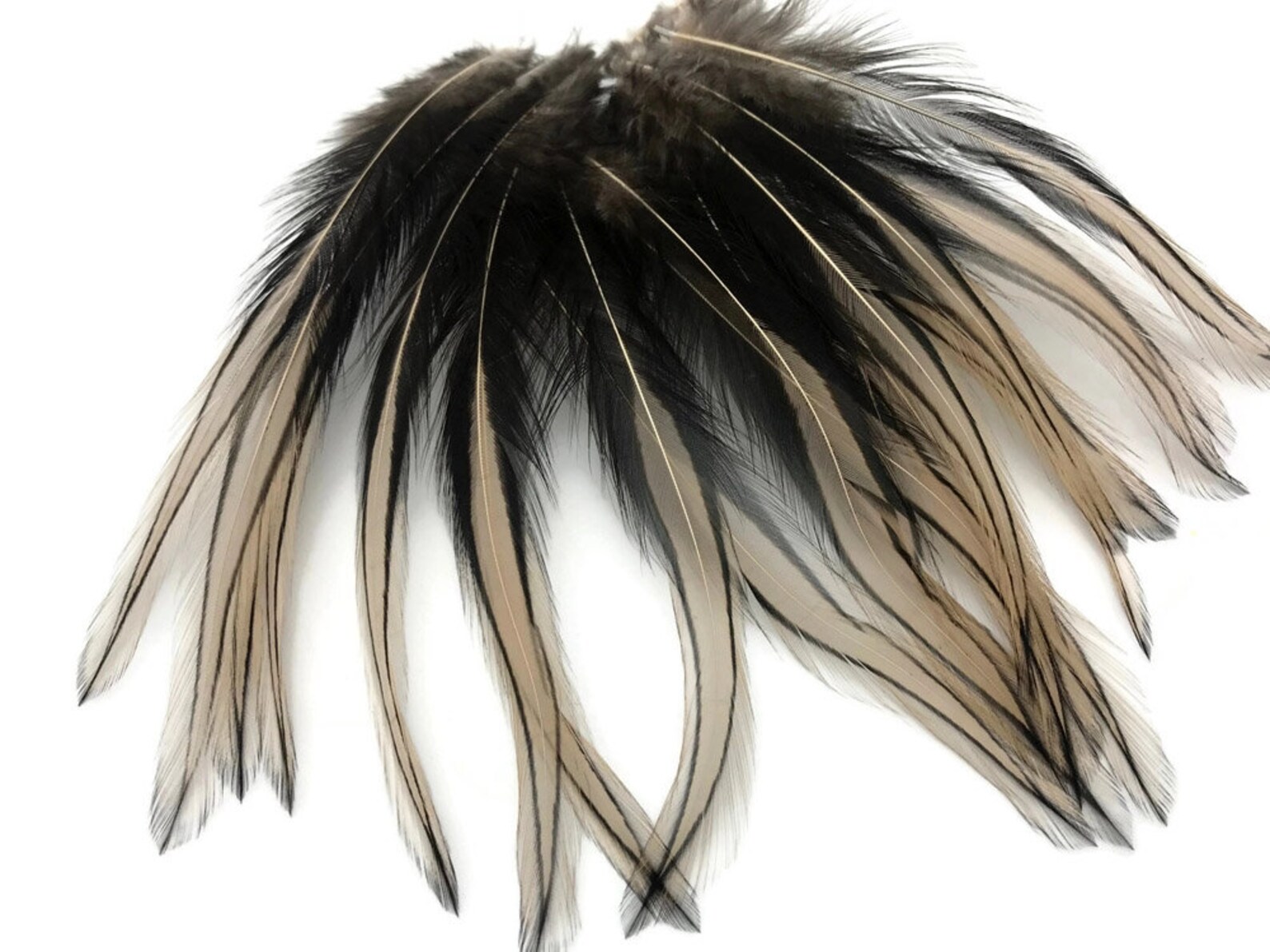 Tan Laced Pointy Feathers, 10 Pieces - Tan Dyed BLW Laced Long Rooster ...