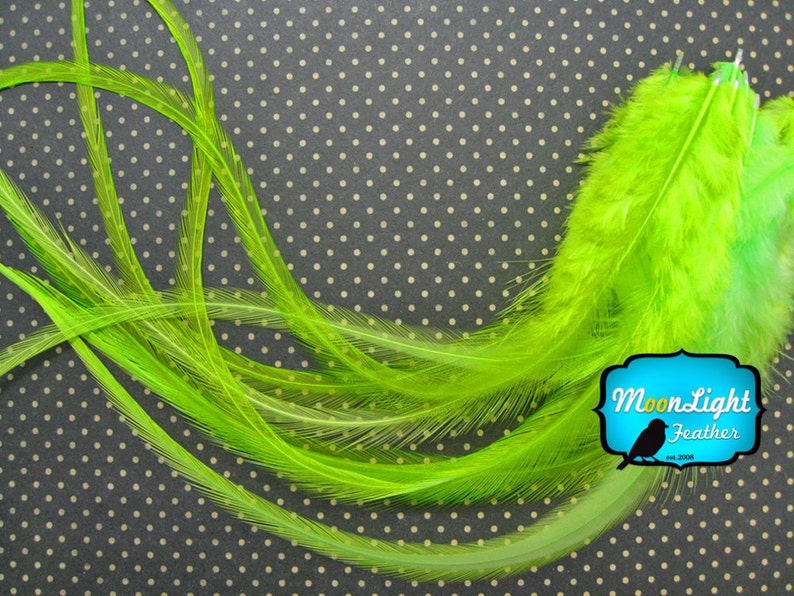 Neon Feathers, 6 Pieces - SOLID LIME Thick Long Rooster Hair Extension ...