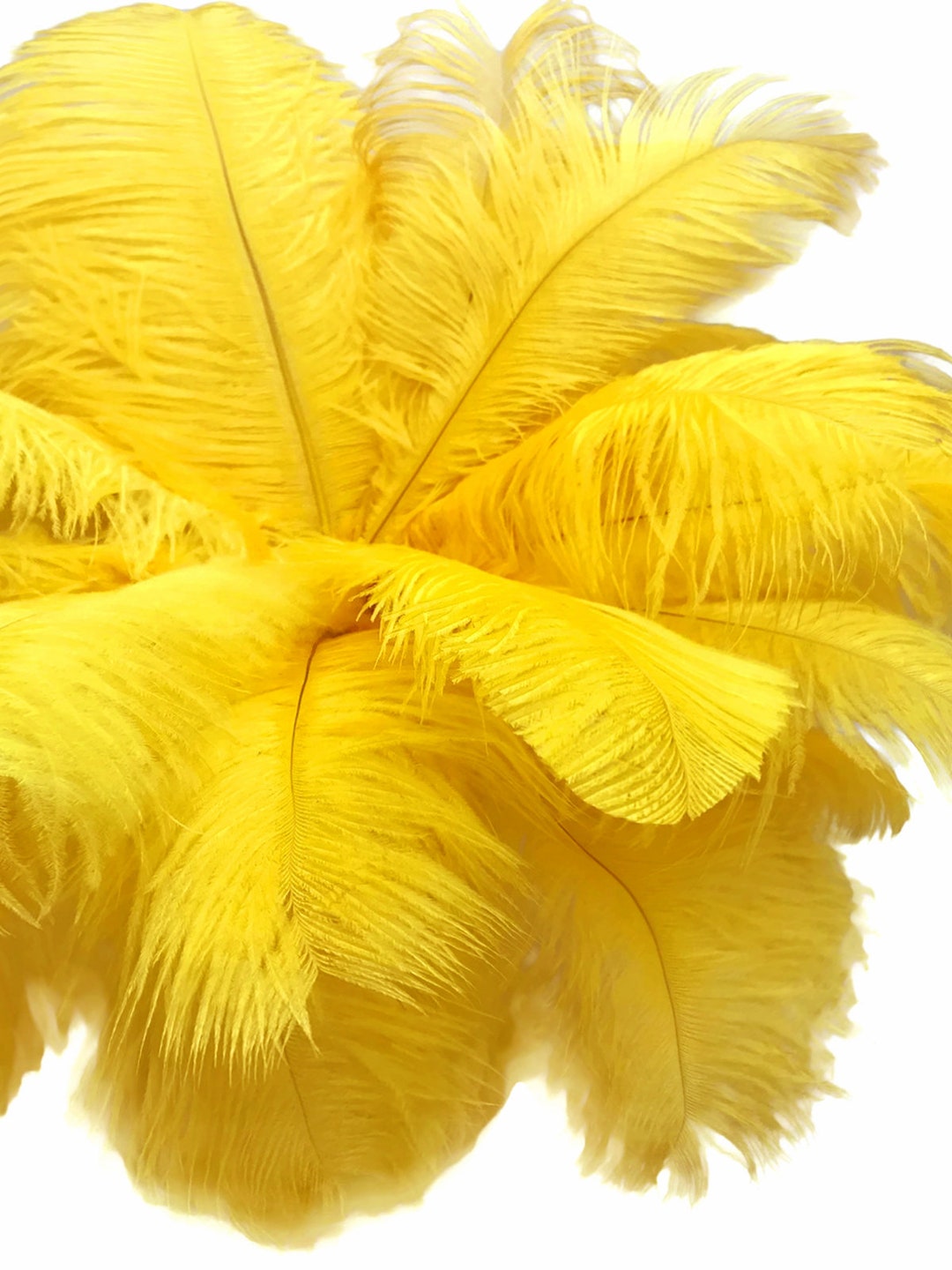 Extra Large Ostrich Feathers, 10 Pieces - 19 - 24" Yellow Ostrich Dyed ...