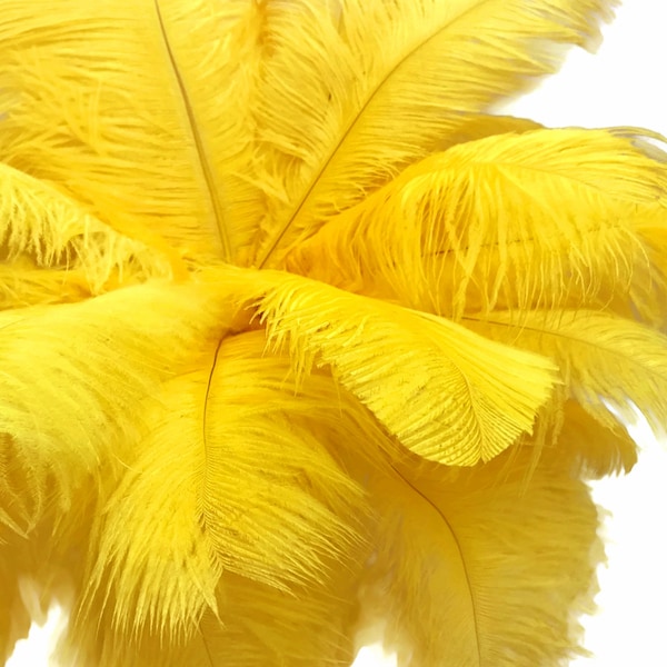 Yellow Ostrich Feathers Large - Etsy