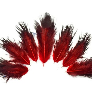 Fluffy Feathers, 1 Dozen - Solid Red & Black Rooster Chickabou Fluff ...