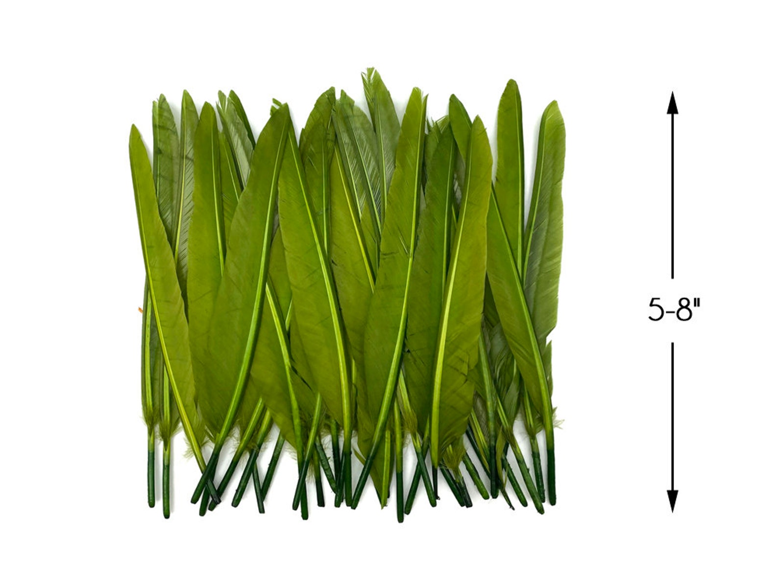 1 Pack - Olive Green Duck Primary Wing Pointer Feathers 0.50 Oz. Craft ...