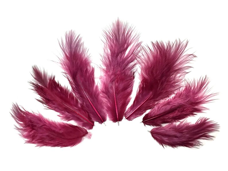 Fluffy Feathers 1 Dozen Solid Claret Rooster Chickabou | Etsy