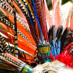 Extra Long Feathers, 10 Pieces - 16-18" Natural Reeves Venery Pheasant ...