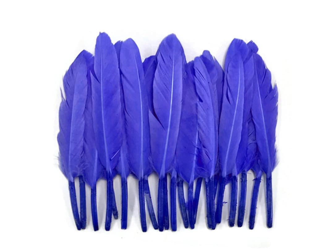 Duck Feathers, 500 Pieces - Lilac Sky Blue Duck Cochettes Wholesale ...