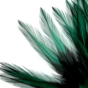 Raindrop Feathers, 10 Pieces - Peacock Green Dyed BLW Laced Short ...