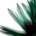 Raindrop Feathers, 10 Pieces - Peacock Green Dyed BLW Laced Short ...