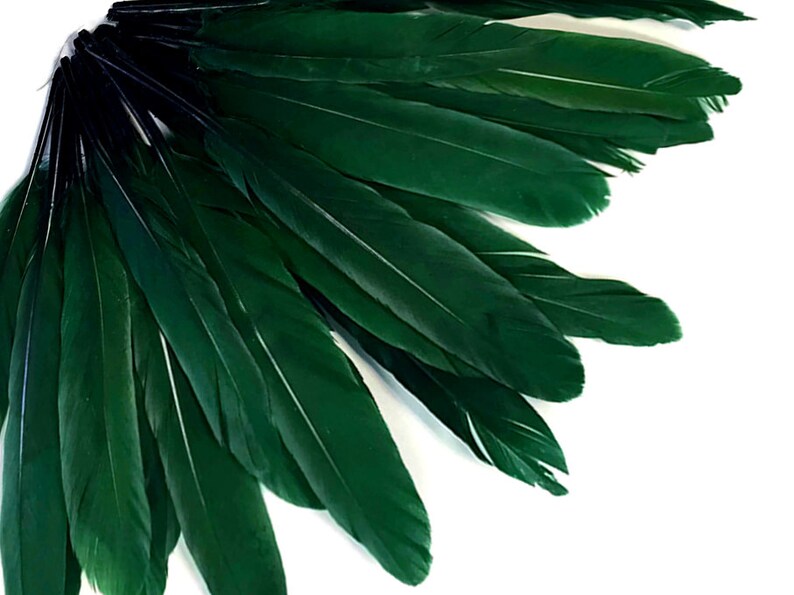 Duck Feathers 1 Pack Hunter Green Duck Cochettes Loose - Etsy