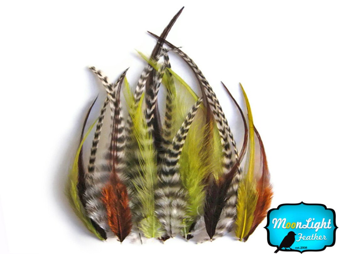 Mix Hair Feathers, 2 Dozen - SHORT OLIVE MIX Grizzly Rooster Hair ...