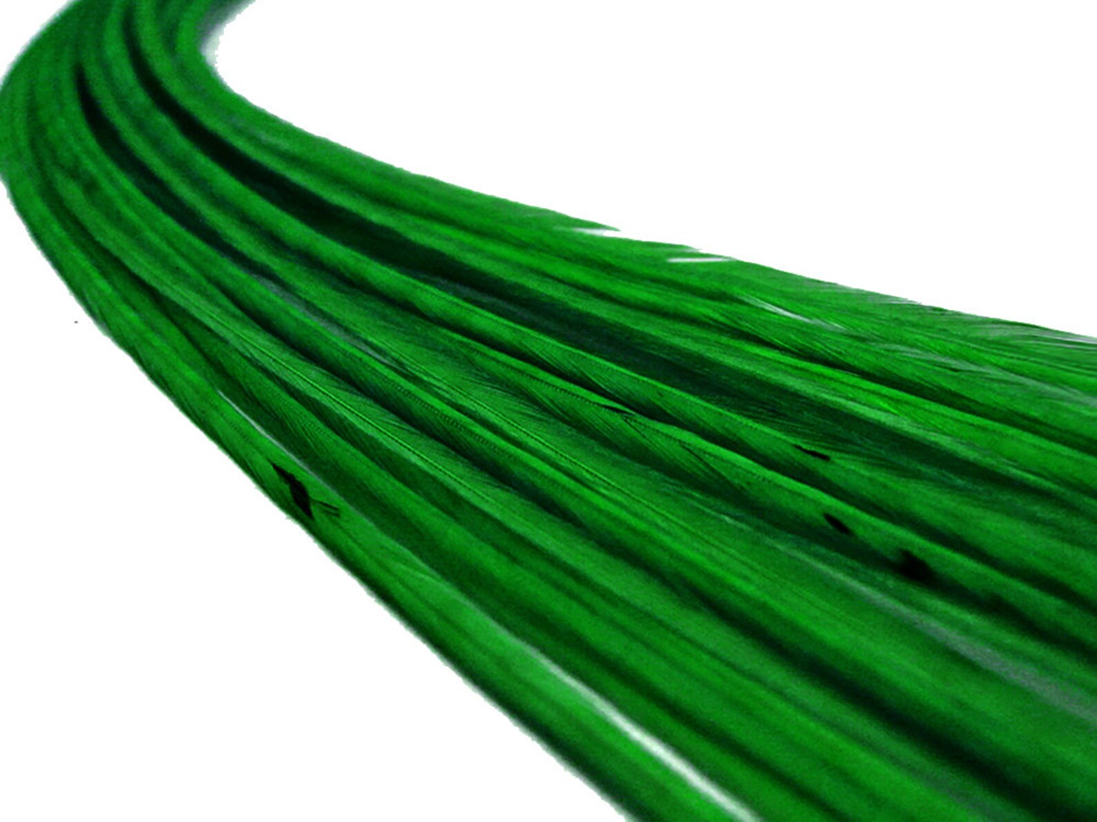 Hair Feathers, 10 Pieces - Solid Kelly Green Thin Long Rooster Hair ...