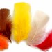 Turkey Feathers, 1/4 Lbs - Fall Mix Turkey T-base Body Plumage ...
