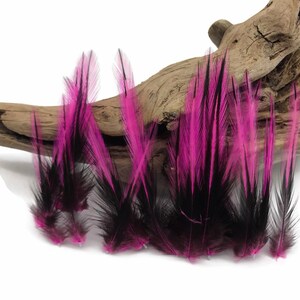 Fuchsia Laced Pointy Feathers, 10 Pieces - Hot Pink Dyed BLW Laced ...