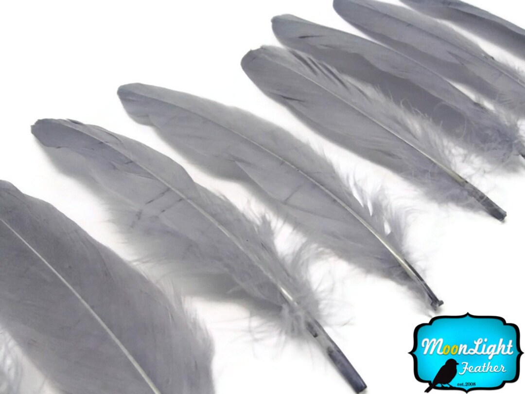 Goose Feathers, 1 Pack - Grey Goose Satinettes Loose Feathers 0.3 Oz ...
