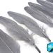 Goose Feathers, 1 Pack - Grey Goose Satinettes Loose Feathers 0.3 Oz ...