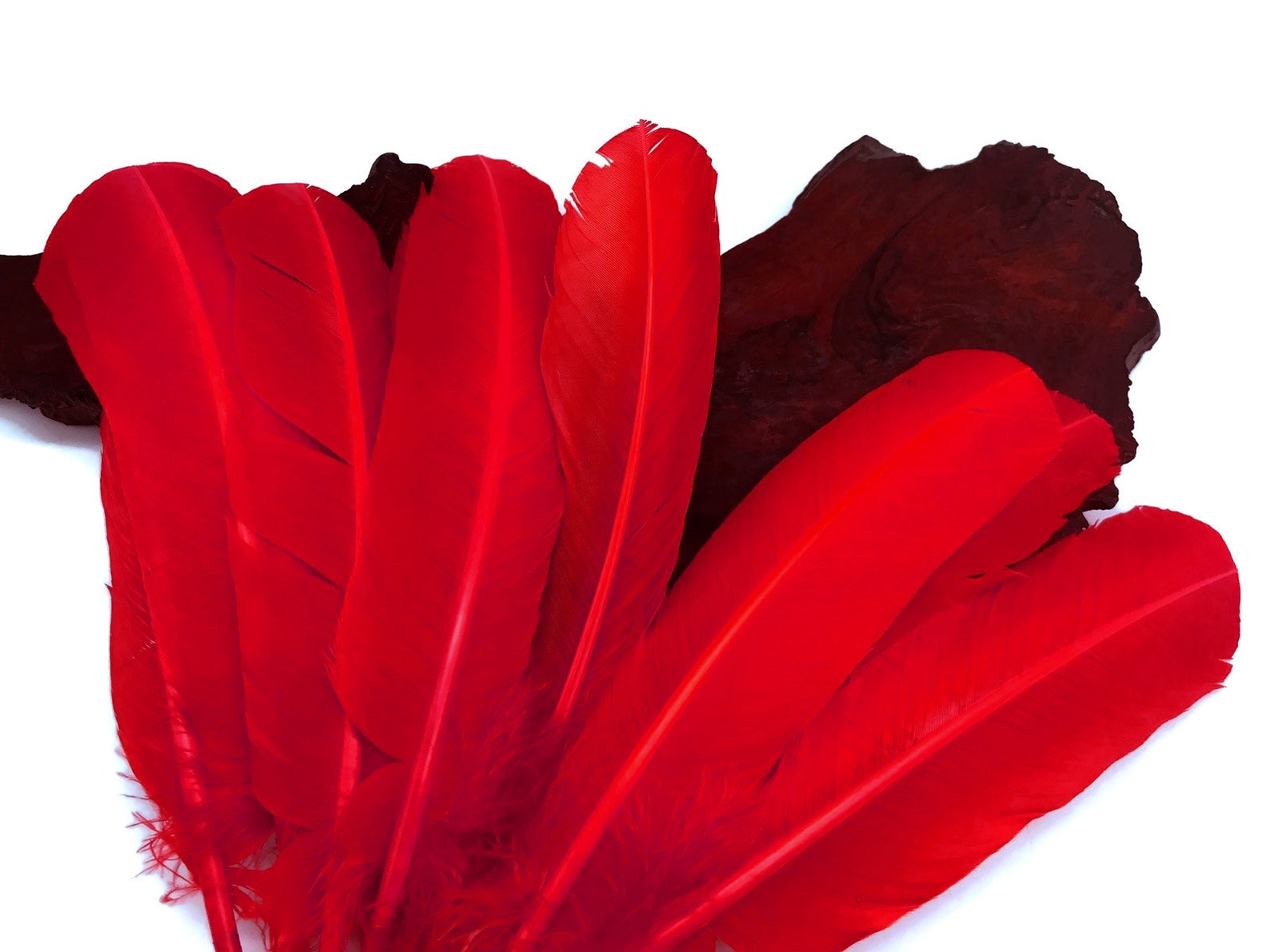 Wholesale Turkey Quill Feathers 1/4 Lb Red Turkey Rounds | Etsy