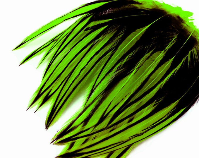 Rooster Feathers 10 Pieces Lime Green Dyed BLW Laced Long - Etsy