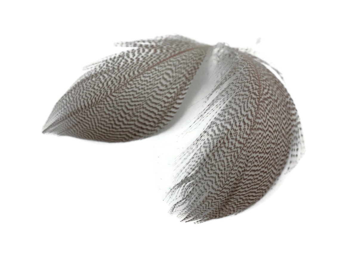 1/4 Lb. - Natural Barred Mallard Duck Flank Wholesale Feathers (bulk ...