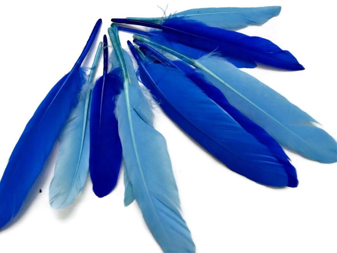 Duck Feathers, 500 Pieces - Royal Blue Duck Cochettes Wholesale Loose ...