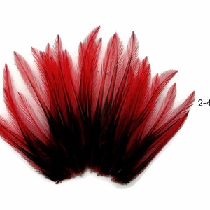 Red Laced Pointy Feathers, 10 Pieces - Red Dyed BLW Laced Short Rooster ...