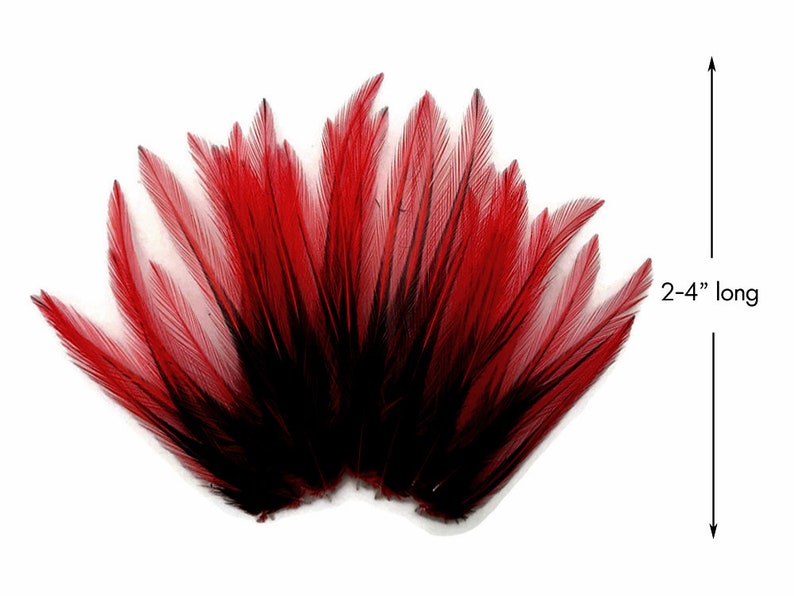 Red Laced Pointy Feathers, 10 Pieces - Red Dyed BLW Laced Short Rooster ...