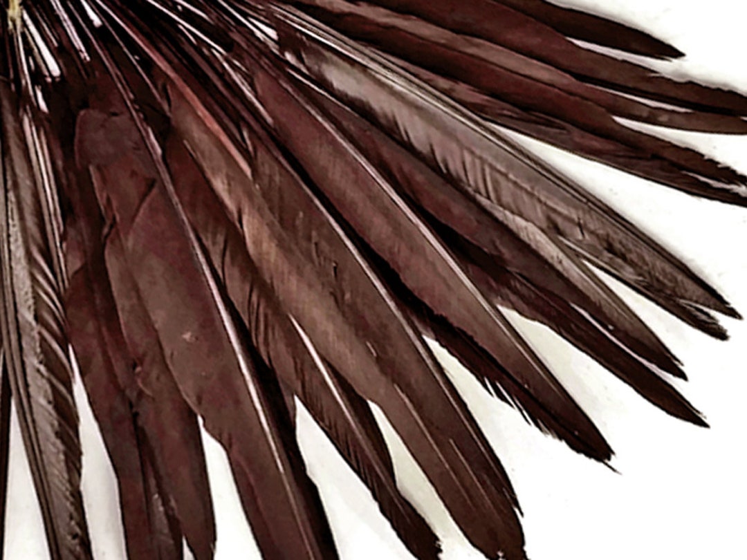 Goose Feathers, 10 Pieces - Brown Goose Pointers Long Primaries Wing ...