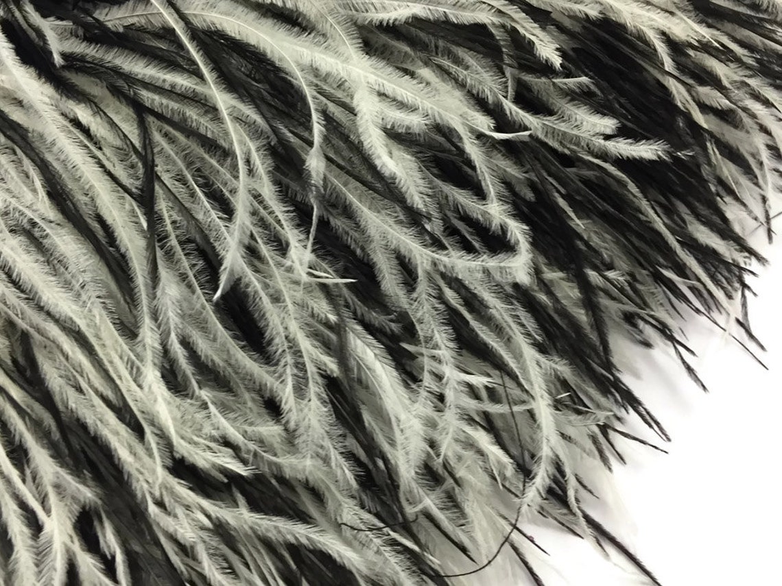 Ostrich Trim, 10 Yards - Black & White Ostrich Fringe Trim Wholesale ...