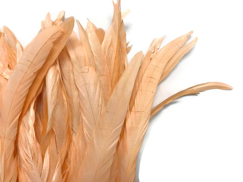 Rooster Tail Feathers 1 Yard 10-12 Champagne Bleach | Etsy