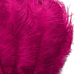 USA Feathers, 10 Pieces - 14-17" Magenta Ostrich Dyed Drab Large Body ...