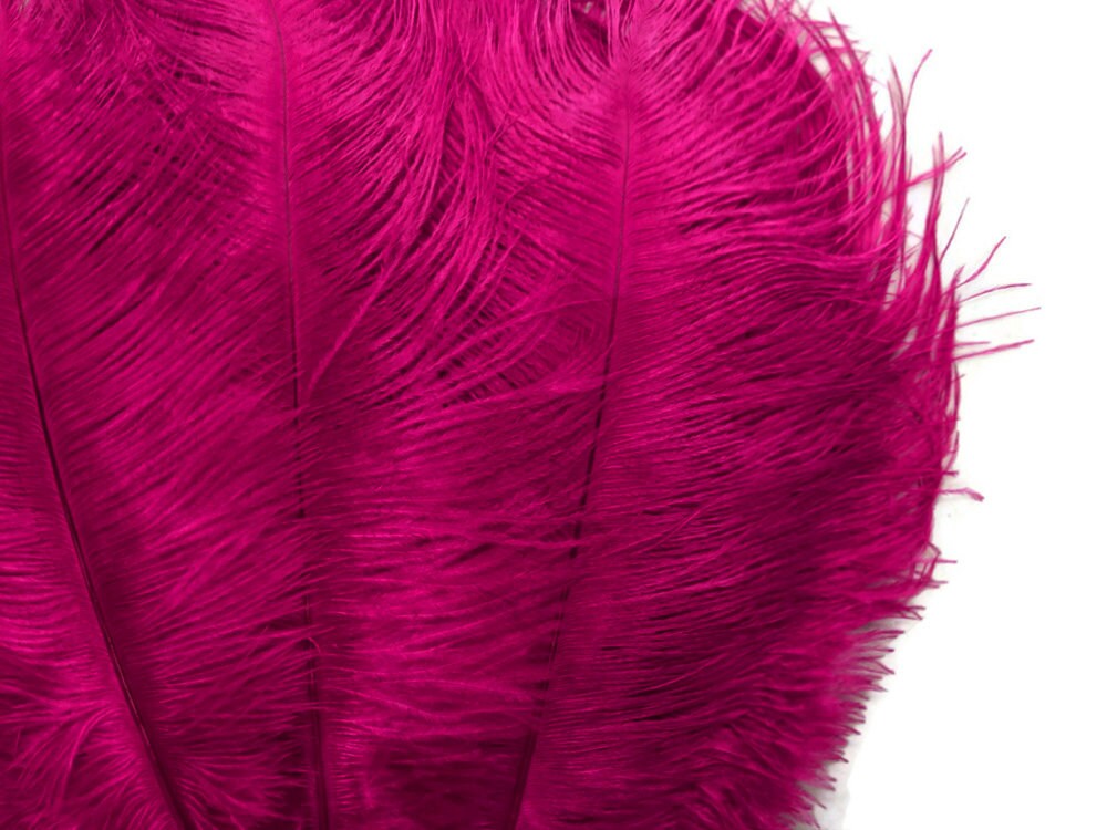USA Feathers, 10 Pieces - 14-17" Magenta Ostrich Dyed Drab Large Body ...