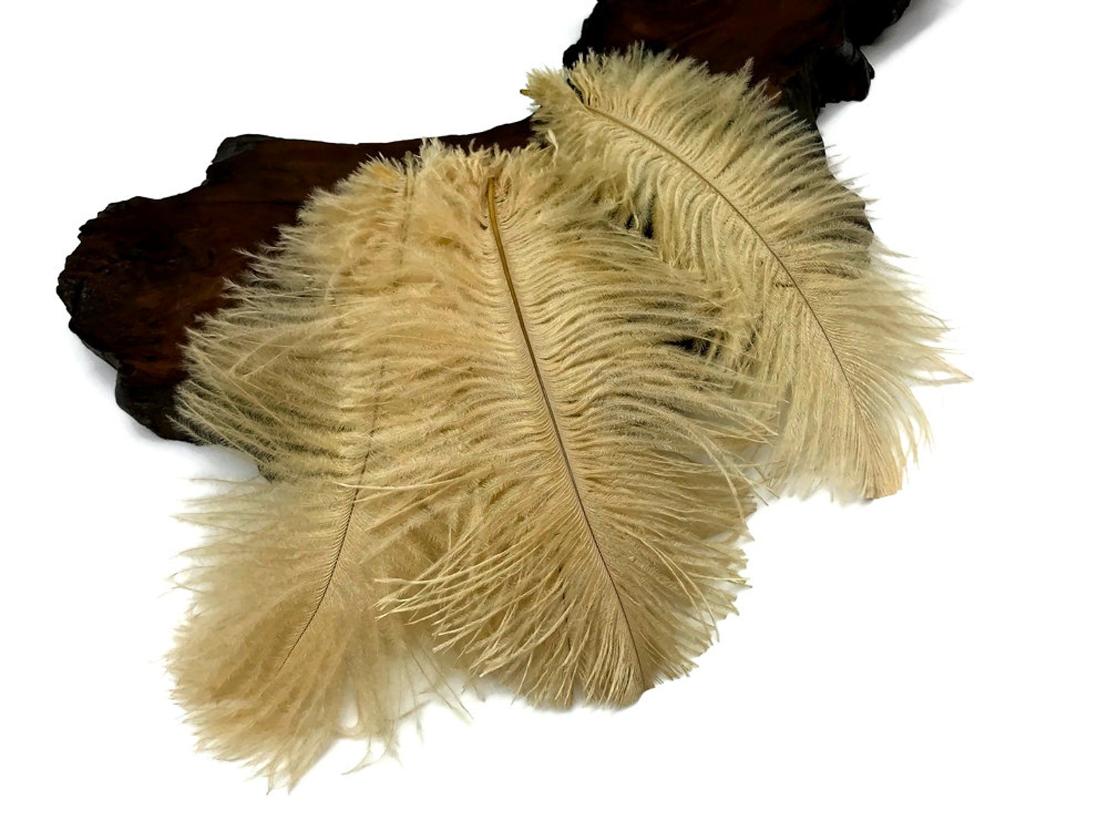 USA Feathers, 10 Pieces - 6-8" Old Gold Ostrich Dyed Drabs Body Plumage ...
