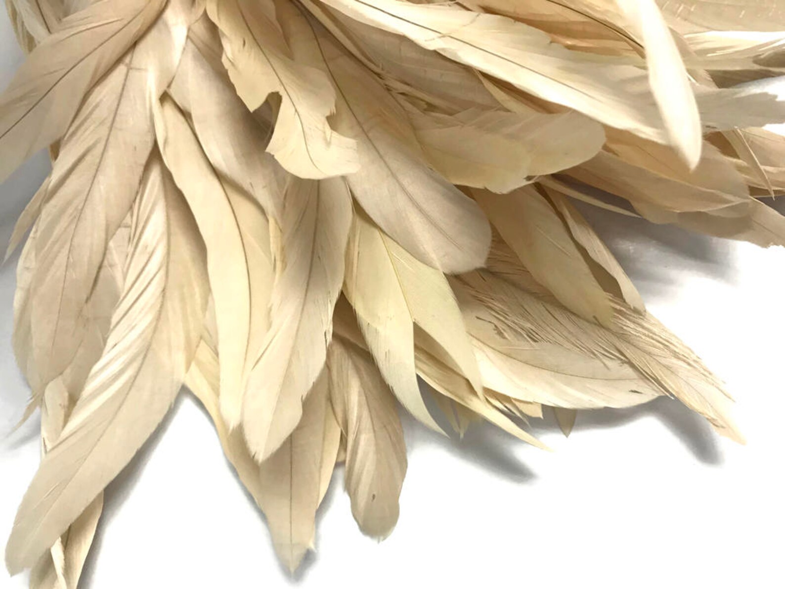 Strung Feathers 1 Yard 10-12 Ivory Bleach and Dyed | Etsy