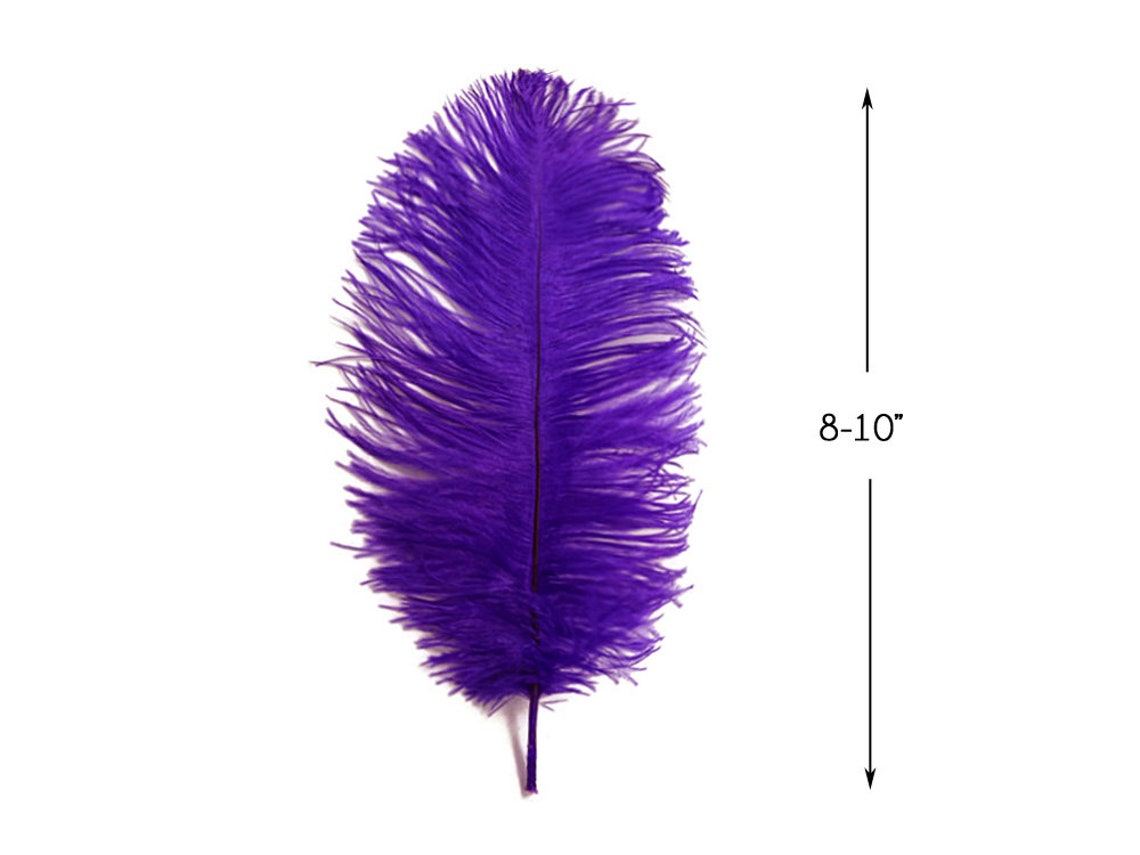 Ostrich Feathers 10 Pieces 8-10 Purple Ostrich Dyed | Etsy