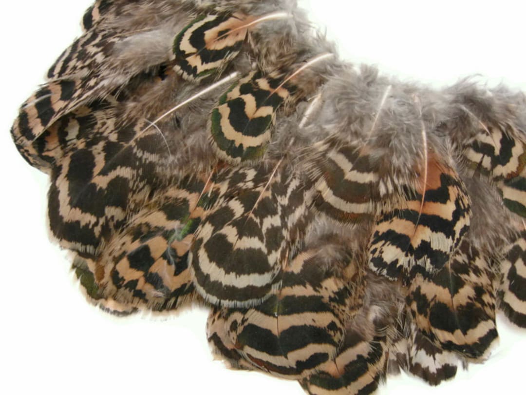 10 Pieces - 1-3" Natural Brown Mottled Peahen Body Plumage Feather Fly ...
