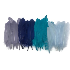 Goose Feathers, 1 Pack - Brown Goose Satinettes Loose Wing Quill ...