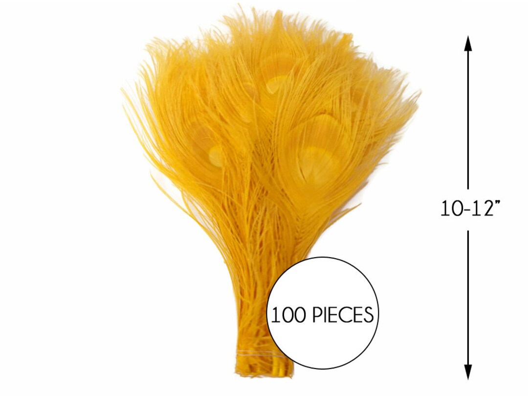 USA SELLER, 100 Pieces – Golden Yellow Bleached & Dyed Peacock Tail Eye ...