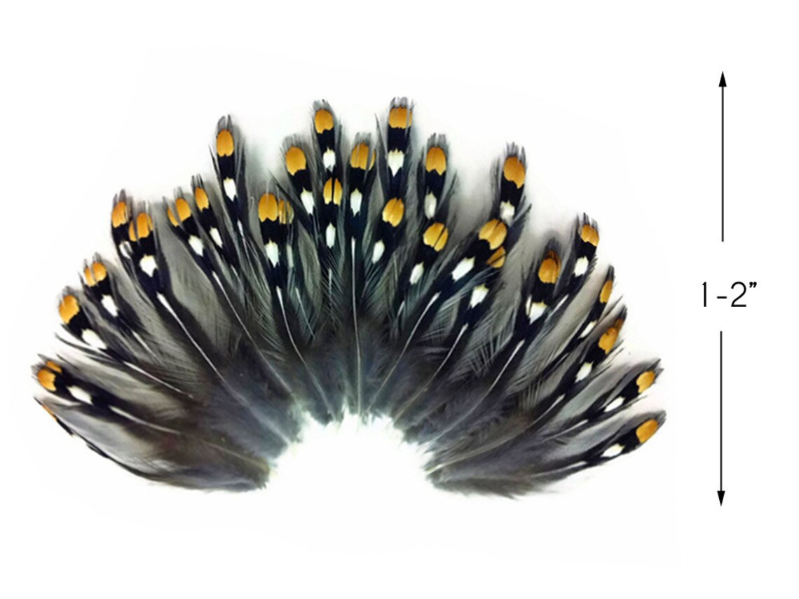 Exotic Feathers, 10 Pieces - Small Natural Gold Jungle Cock Eye Loose ...