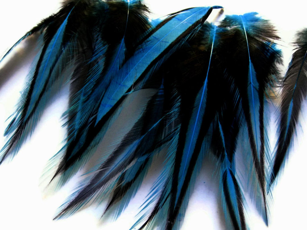 Unique Laced Feathers, 10 Pieces - Kingfisher Blue Dyed BLW Laced Short ...