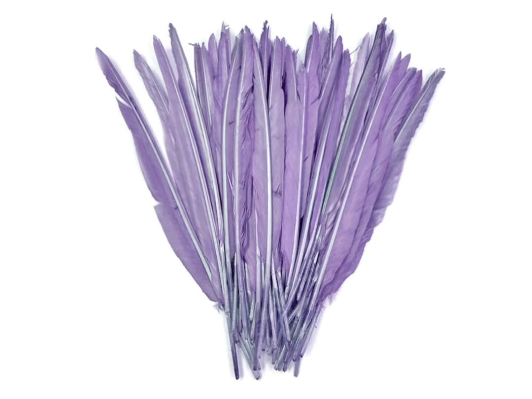Wing Feathers, 1/4 Lb. - Lavender Goose Pointers Long Primaries Wing ...